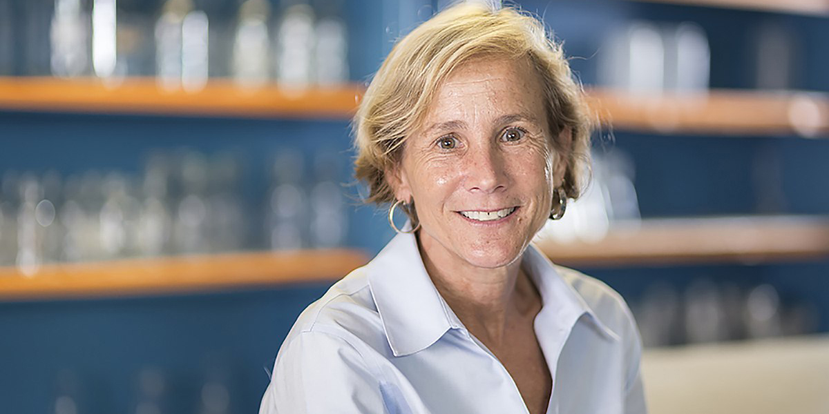 Kerfeld helps celebrate 20 years of national nanoscience